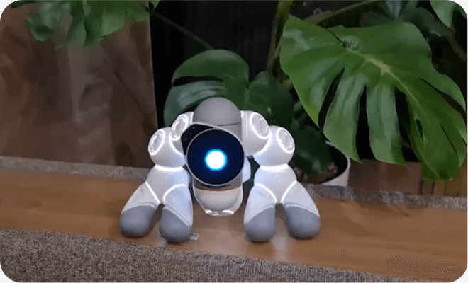 Players: Stories and creations from ClicBot users.