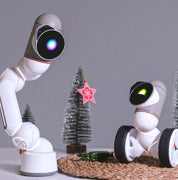 ClicBot: Coding Fun Robot for STEAM Learning