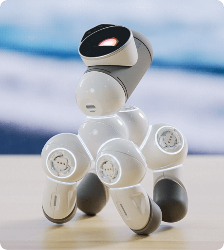 Modules Function: Modular design robots, how a single module work and