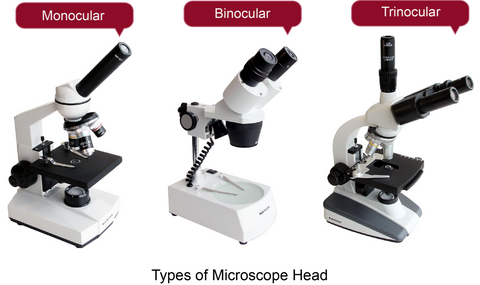 How to Elect Among Monocular Binocular Trinocular Microscopes | CHINA ...
