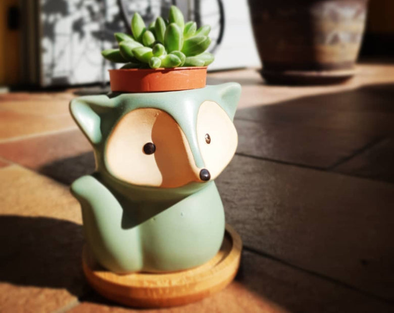 T4U Official Website