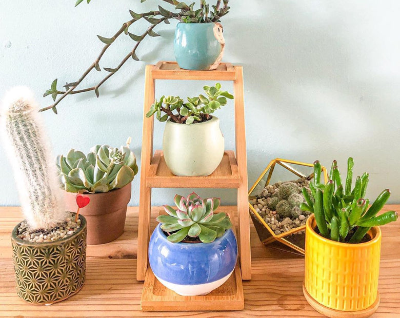 T4U Official Website