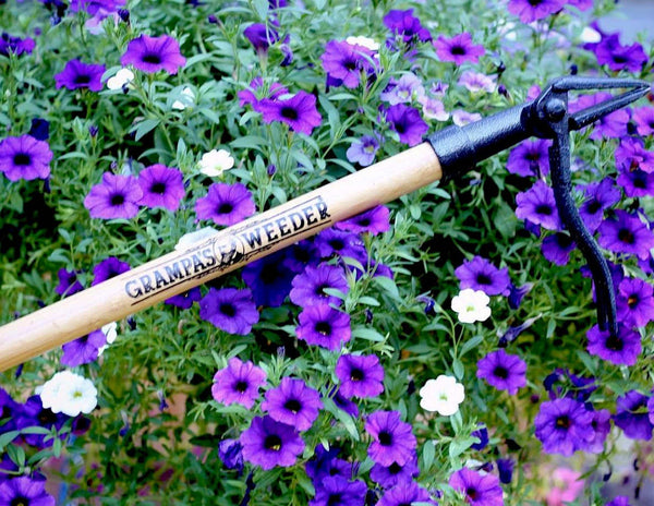 Grampa's Weeder The Original Effortless Weed