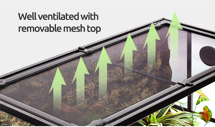 REPTI ZOO 67 Gallon 24″*18″*36″ Vertical Rectangular Glass Terrarium ...