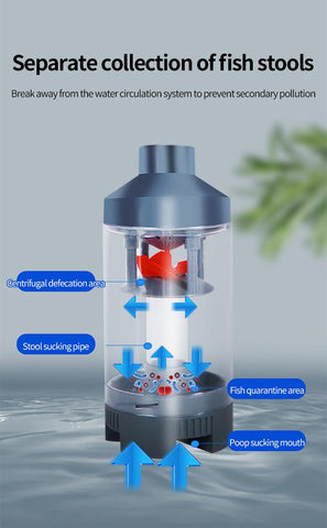 Fish Poop Isolation, Built-in Filter In Fish Tank