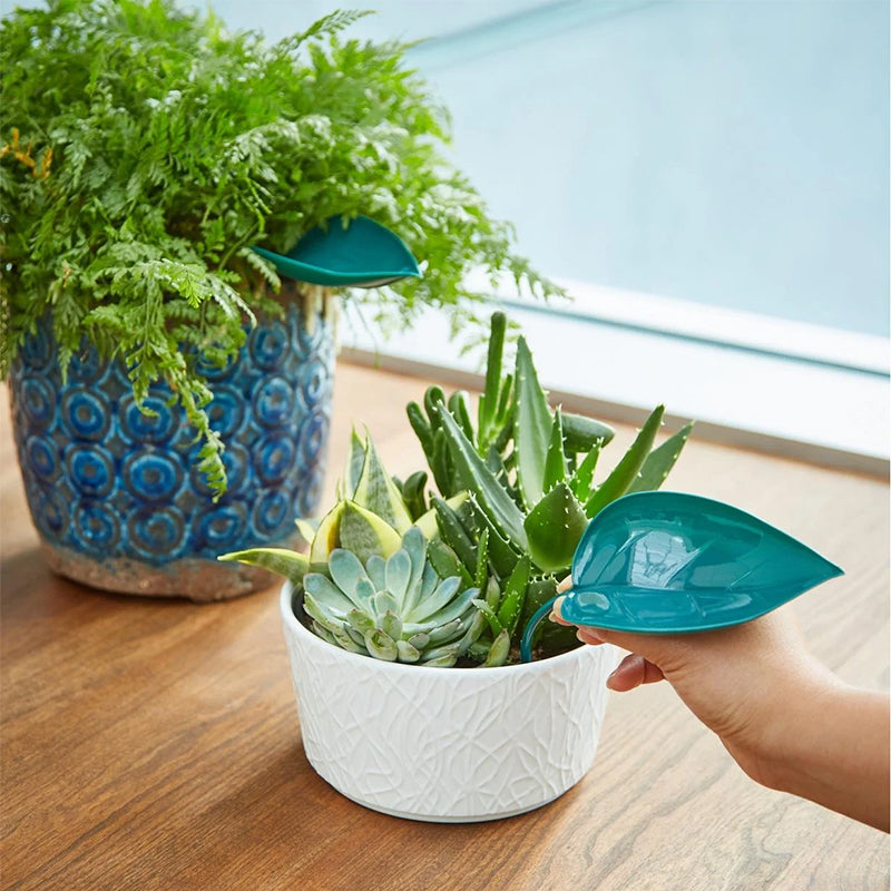 Funny Watering Leaves – Peachloft