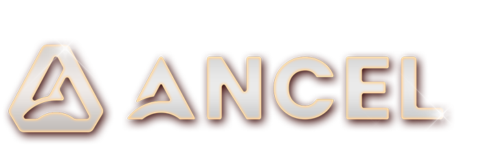 How to Update the Ancel AD410 | ANCEL