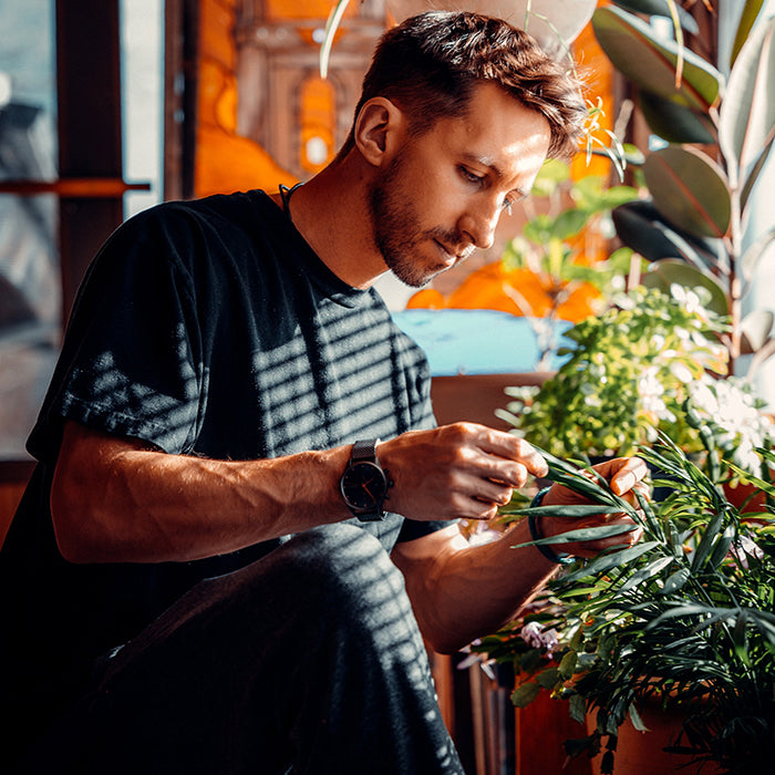 Why Graywind？ – Graywind smarthome