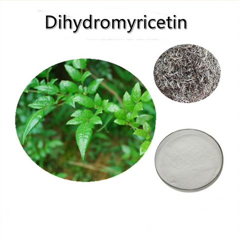 Mechanism of Dihydromyricetin on Inflammatory Diseases – WAKAWAKA Tea ...