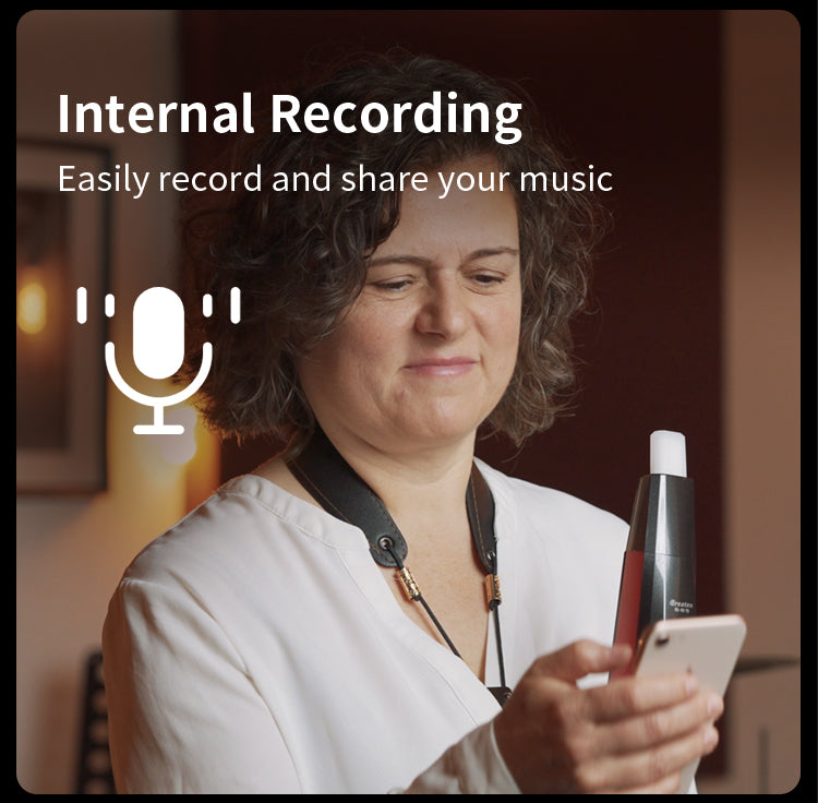 Greaten AP300 Pro Electronic Wind Instrument, 108 Sounds, 8G Sound Sam ...