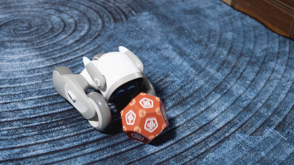 Loona Robot: Loona is an intelligent robot created for companions