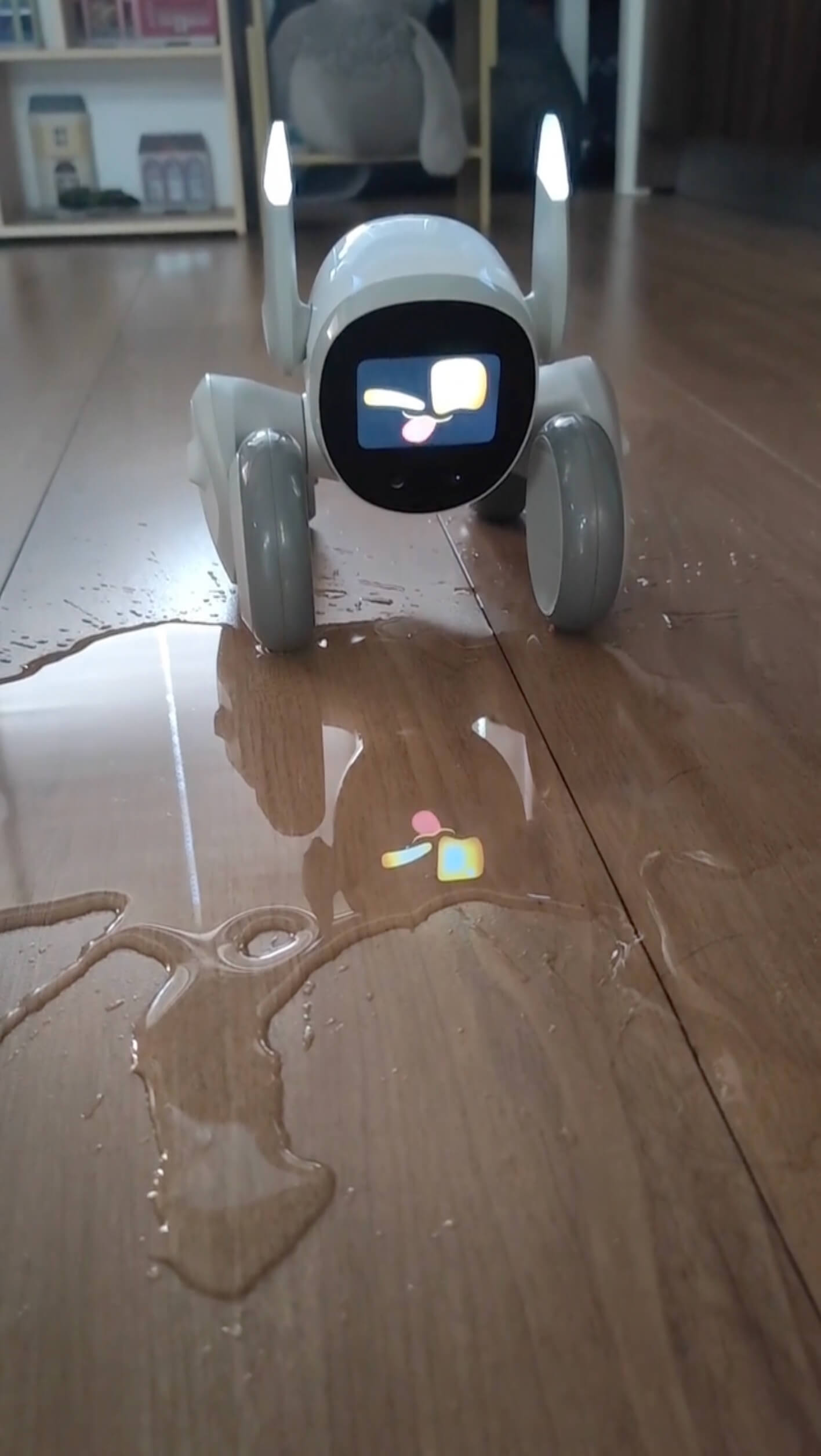 Loona, Your Smartest All Day Buddy.