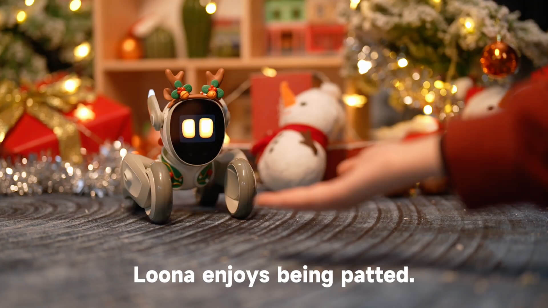 Loona Robot: Loona is an intelligent robot created for companions