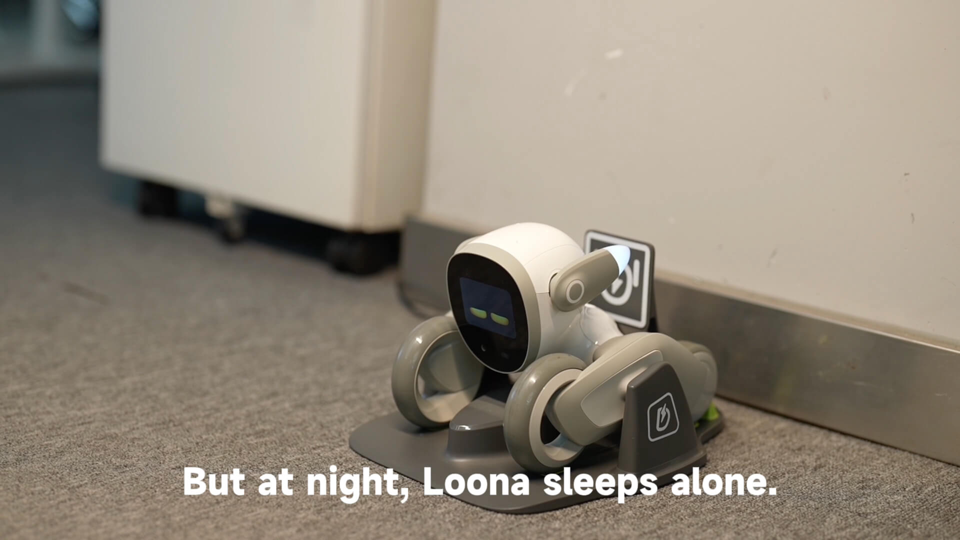 Loona, Your Smartest All Day Buddy.