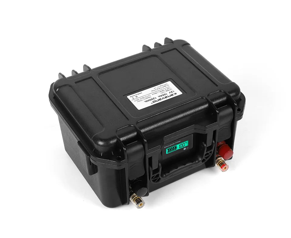 12V 100Ah LiFePO4 Deep Cycle Lithium Iron Phosphate Battery Pack Built ...