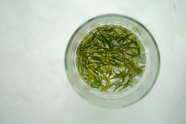 Guzhu Wild Zi Sun Cha 2022 Spring Tea – Cultural heritage | All about ...